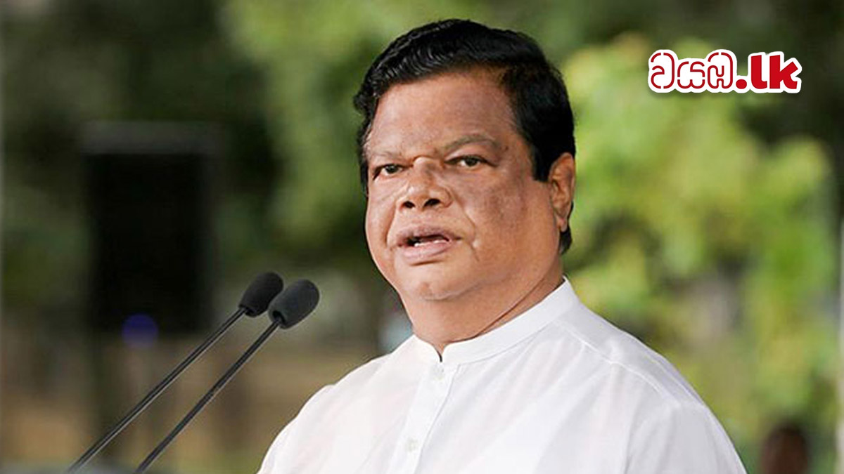 රට ඇෆ්ගනිස්ථානයක් වෙනවා – බන්දුල - Wayaba.lk
