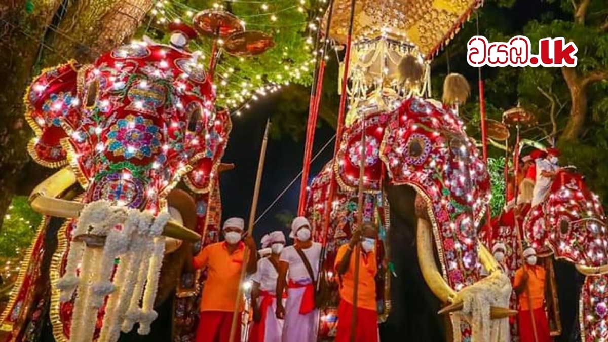 දළදා පෙරහැරට යන්නේ බලාගෙන, හිතා ගන්න බැරි මාෆියාවක් - Wayaba.lk